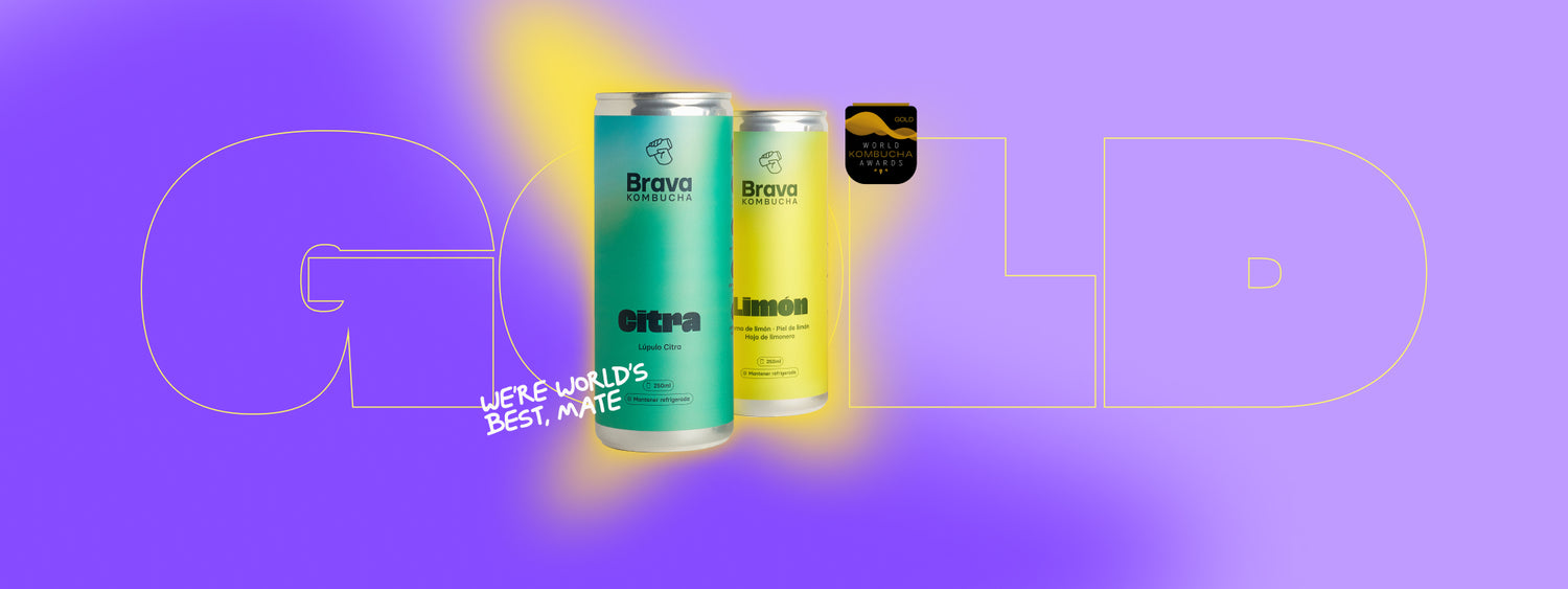 Brava Drinks - La kombucha premium en lata